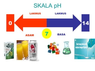 Teori Asam dan Basa | PPT