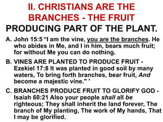 living the fruitful life | PPTX