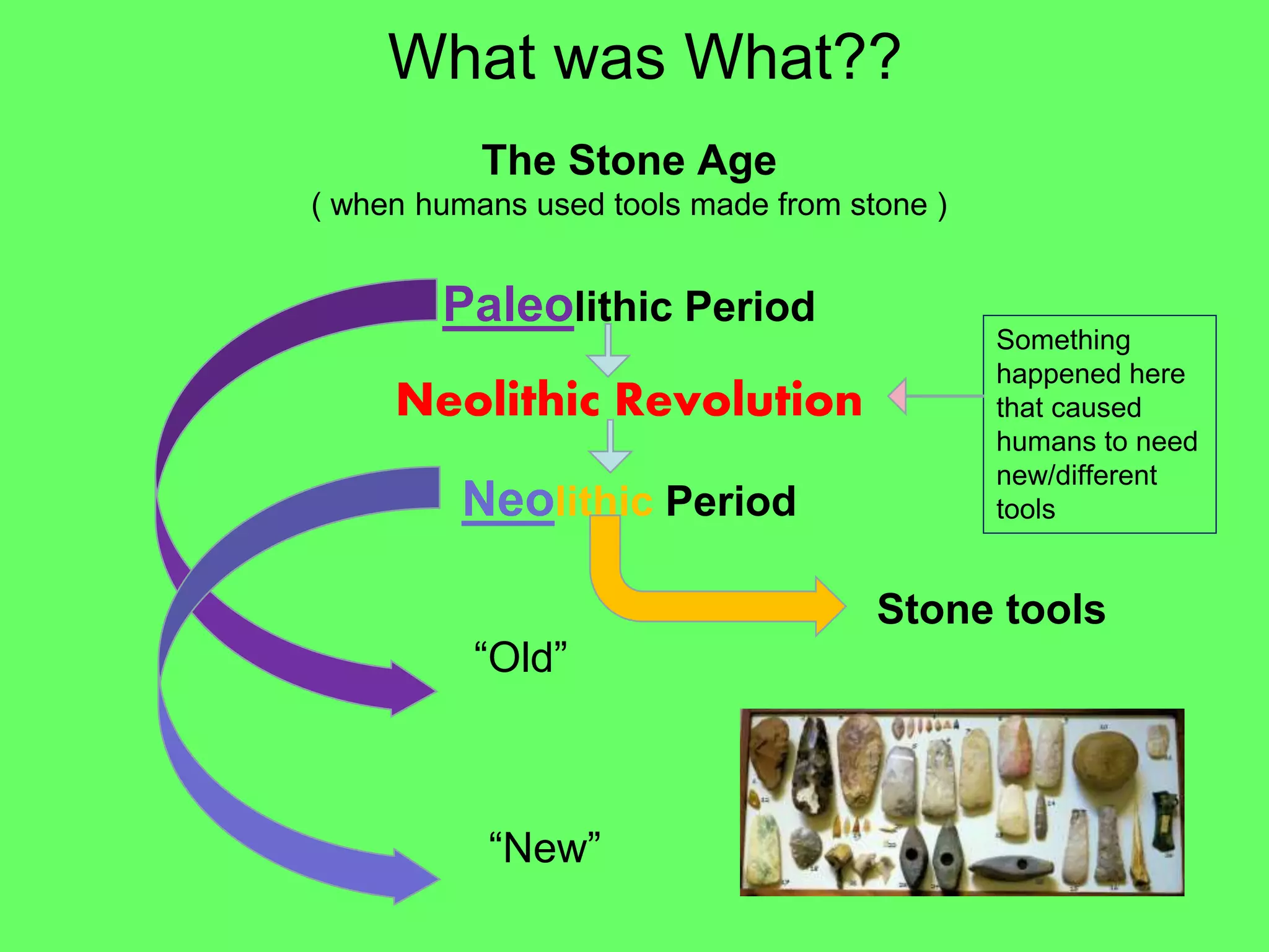 The Neolithic Revolution | PPTX