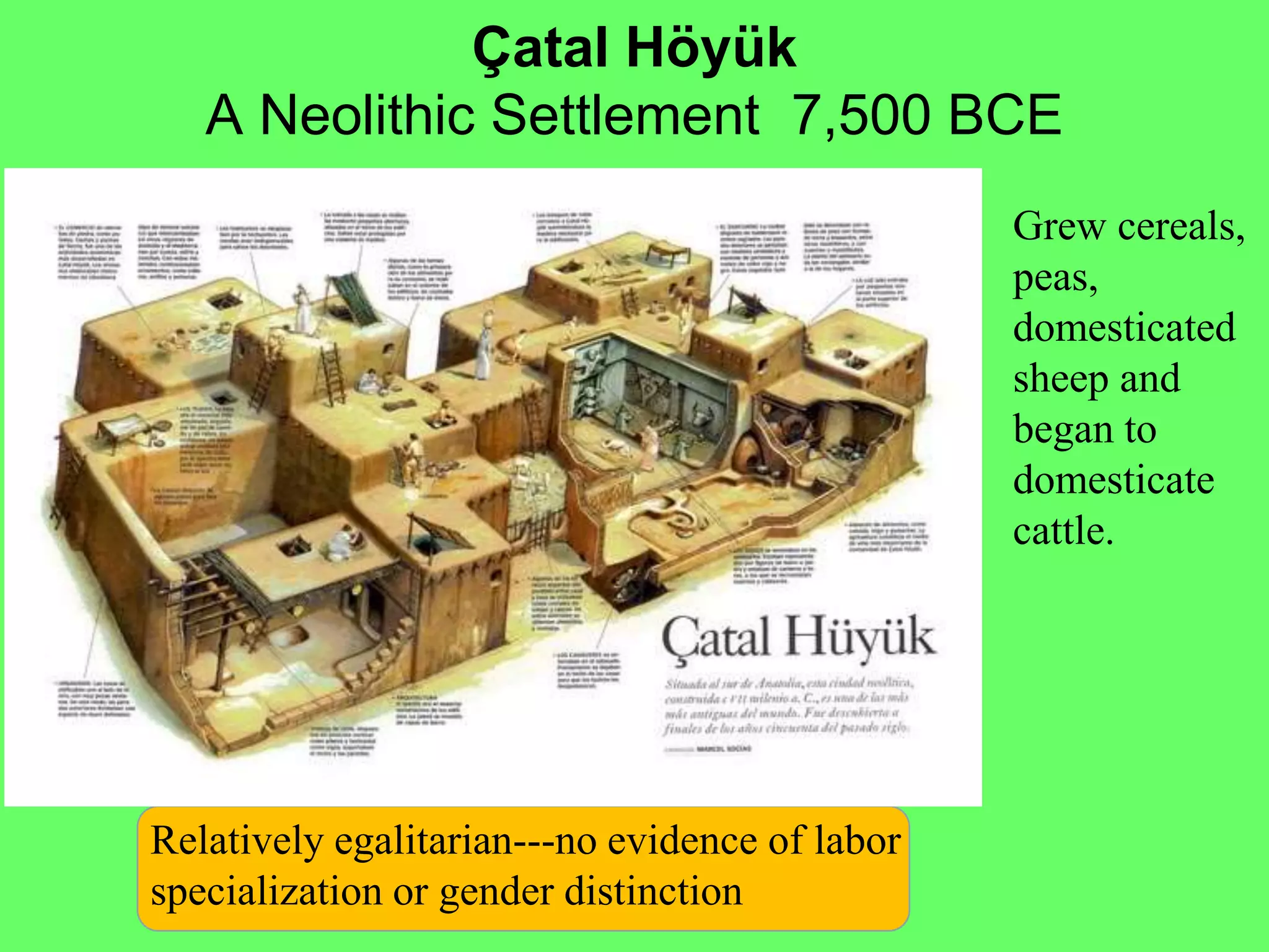 The Neolithic Revolution | PPTX