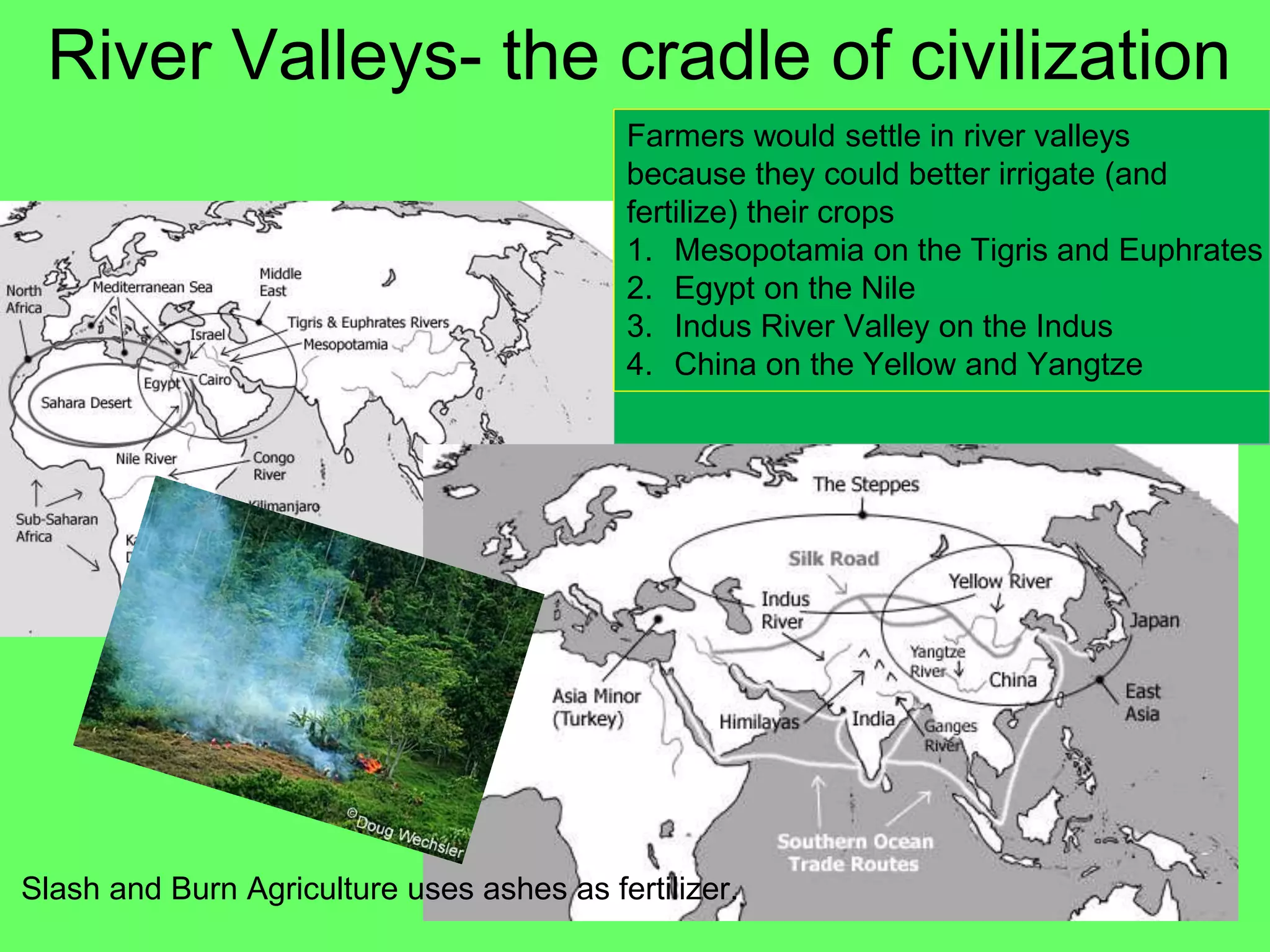 The Neolithic Revolution | PPTX