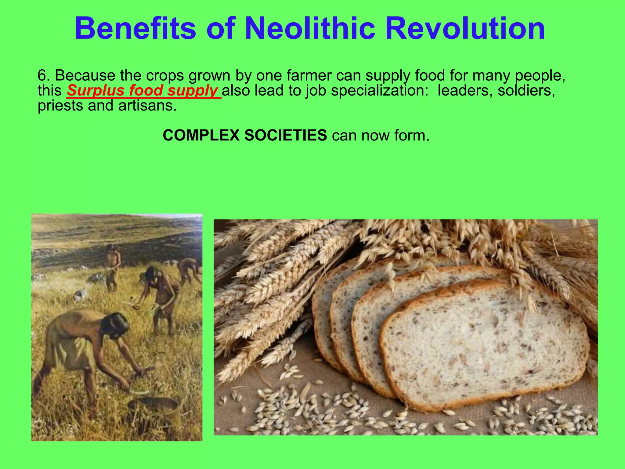The Neolithic Revolution | PPTX