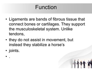 TENDONS & LIGAMENTS OF EQUINE FOOT | PPT | Death, Injury, or Military ...