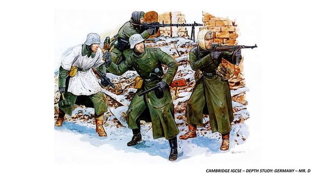 HISTORY IGCSE CONTENT - 20TH CENTURY OPTION - DEPTH STUDY GERMANY: THE ...