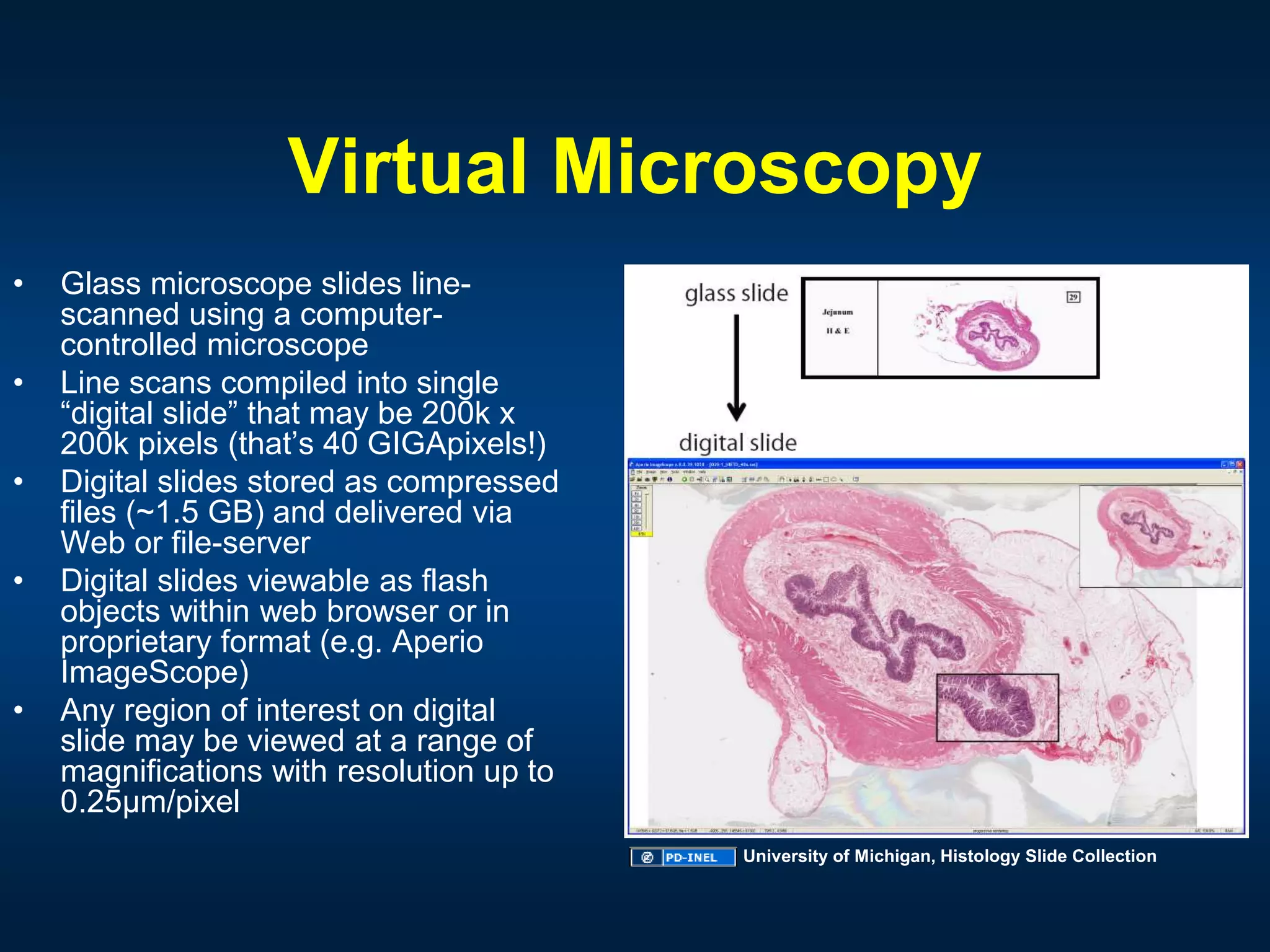 Nathan Kikku Mubiru-intro histology-0 | PPT