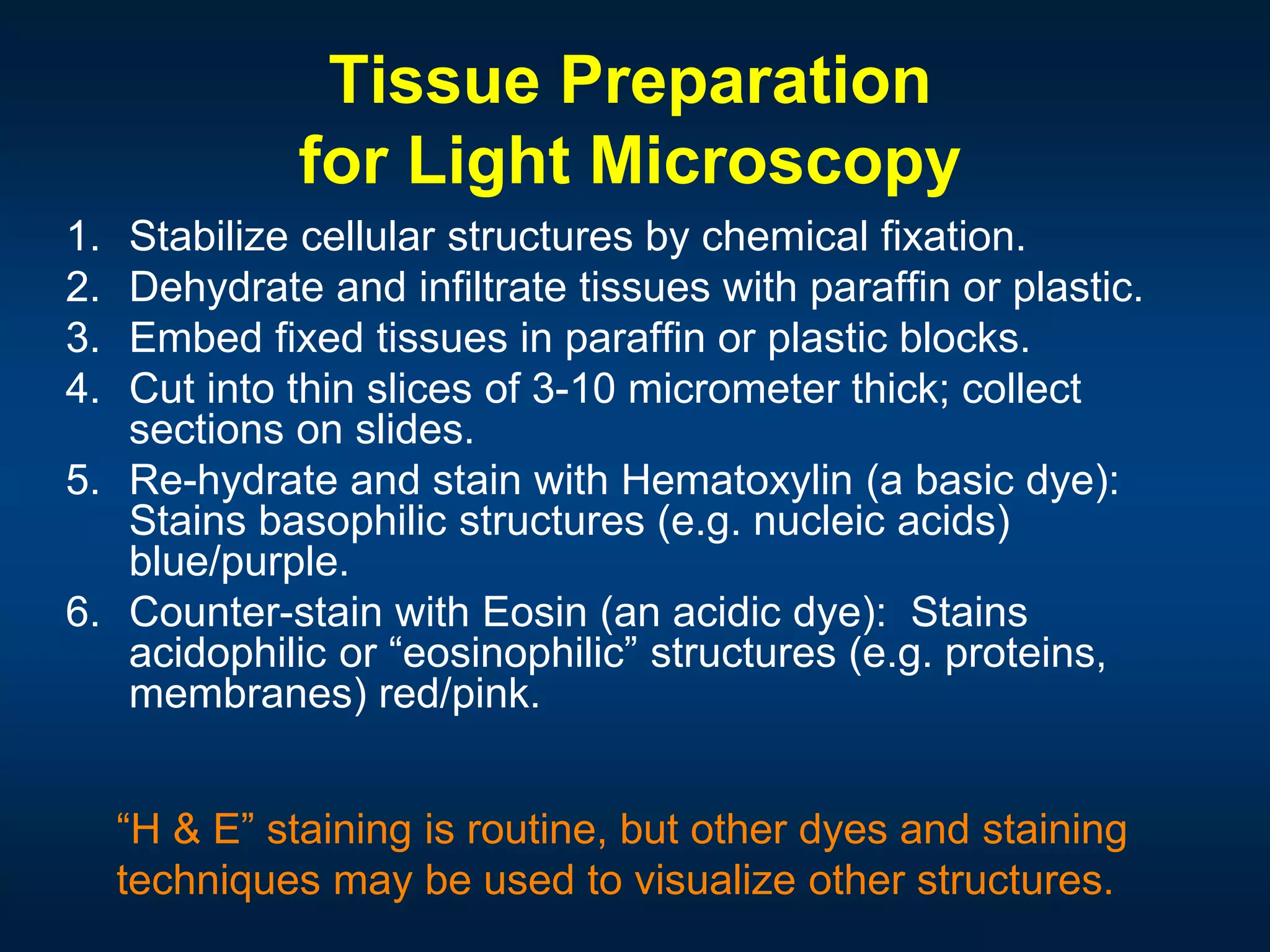 Nathan Kikku Mubiru-intro histology-0 | PPT