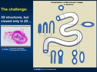 Nathan Kikku Mubiru-intro histology-0 | PPT | Biological Sciences | Science