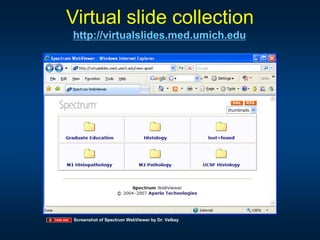 Nathan Kikku Mubiru-intro histology-0 | PPT | Biological Sciences | Science