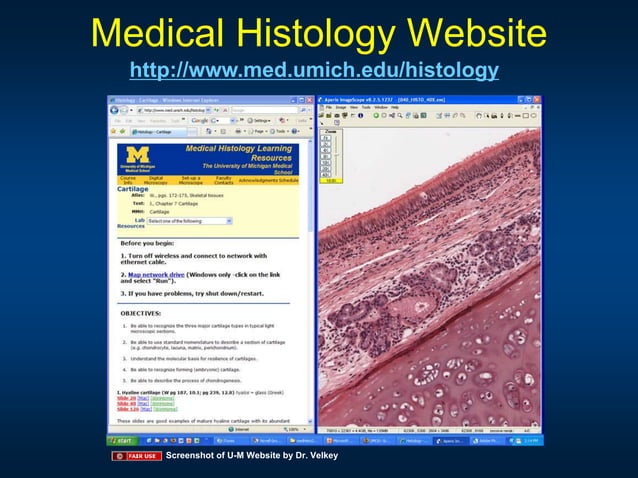 Nathan Kikku Mubiru-intro histology-0 | PPT | Biological Sciences | Science
