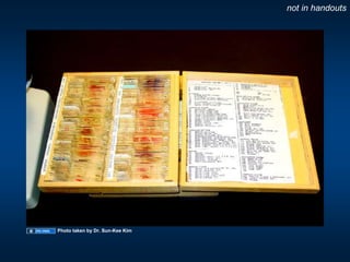 Nathan Kikku Mubiru-intro histology-0 | PPT | Biological Sciences | Science