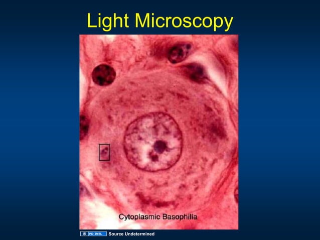 Nathan Kikku Mubiru-intro histology-0 | PPT | Biological Sciences | Science