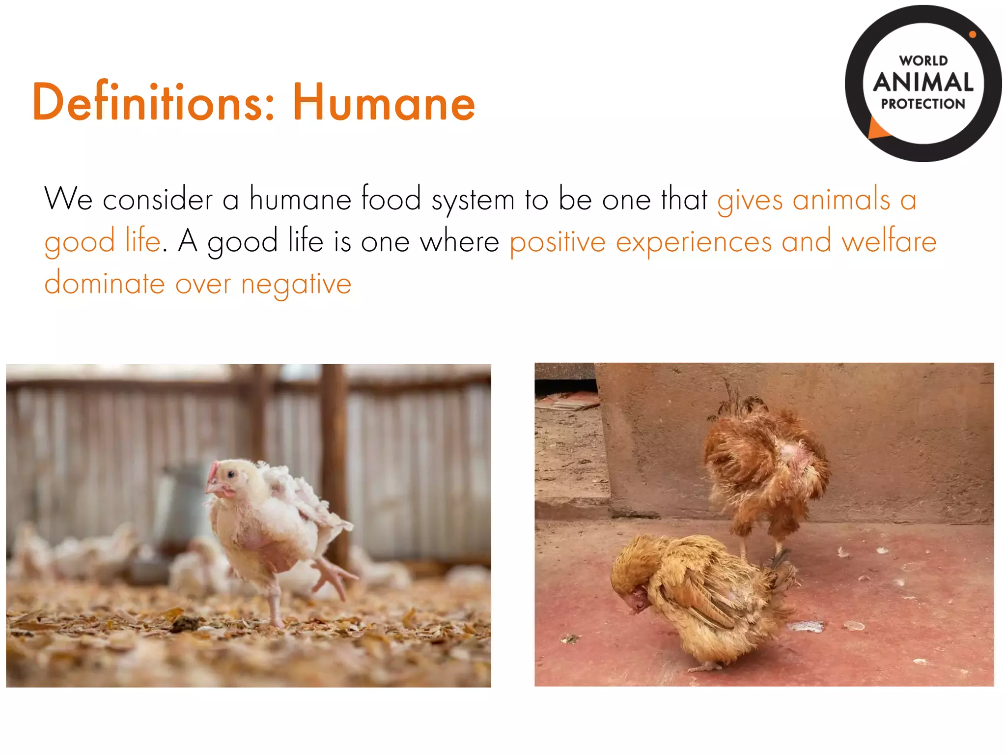 Humane and sustainable poultry farming | PPT