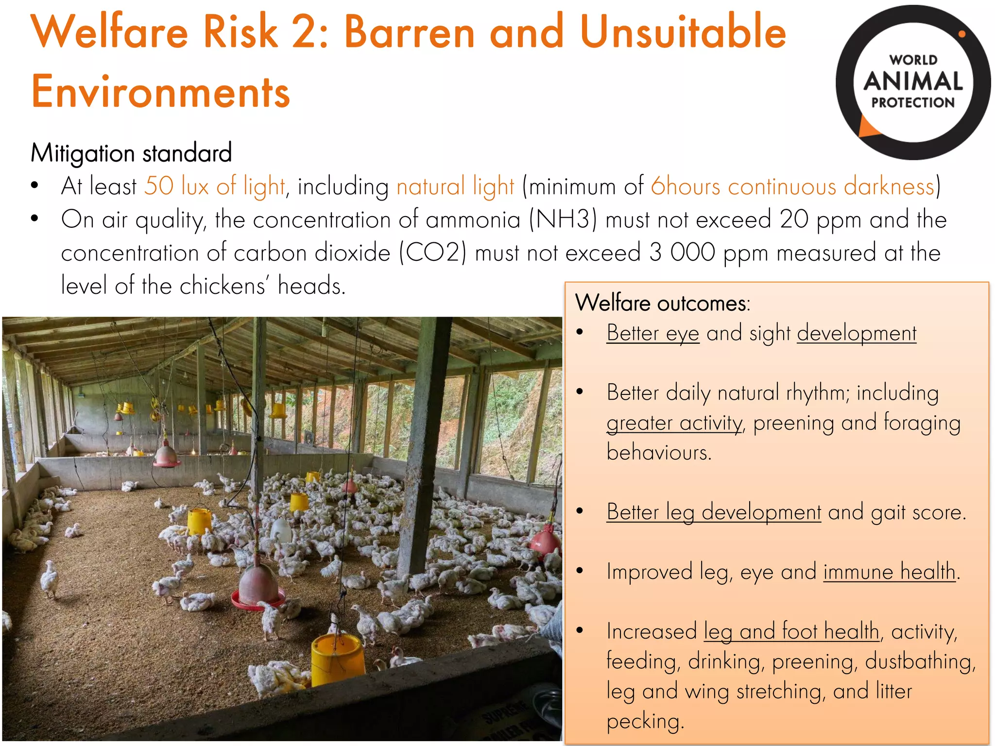 Humane and sustainable poultry farming | PPT