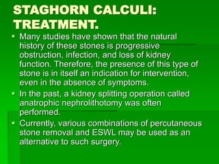 09. RENAL CALCULI.ppt