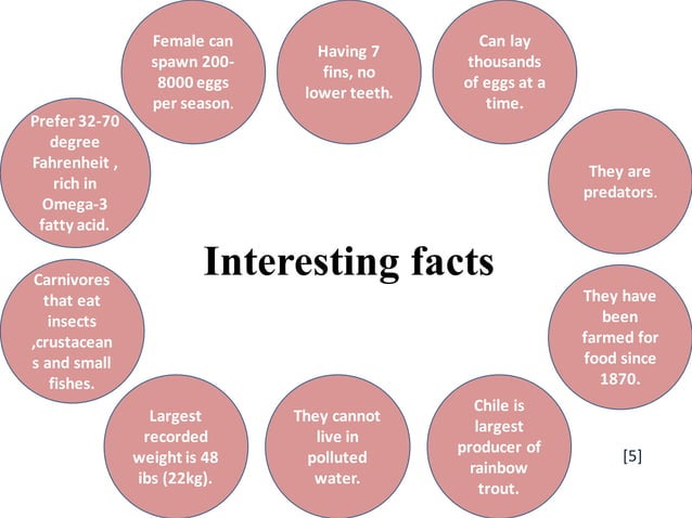 Rainbow Trout: Introduction and Importance | PDF
