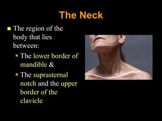 09. Posterior Tr iangle of the Neck.ppt