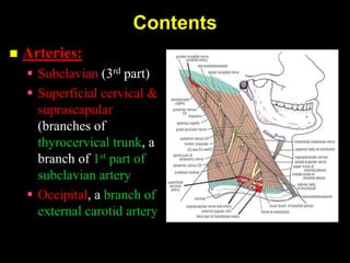 09. Posterior Triang le of the Neck.ppt