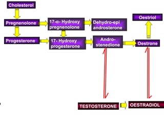 Progestins and anti progesterones and actions.ppt