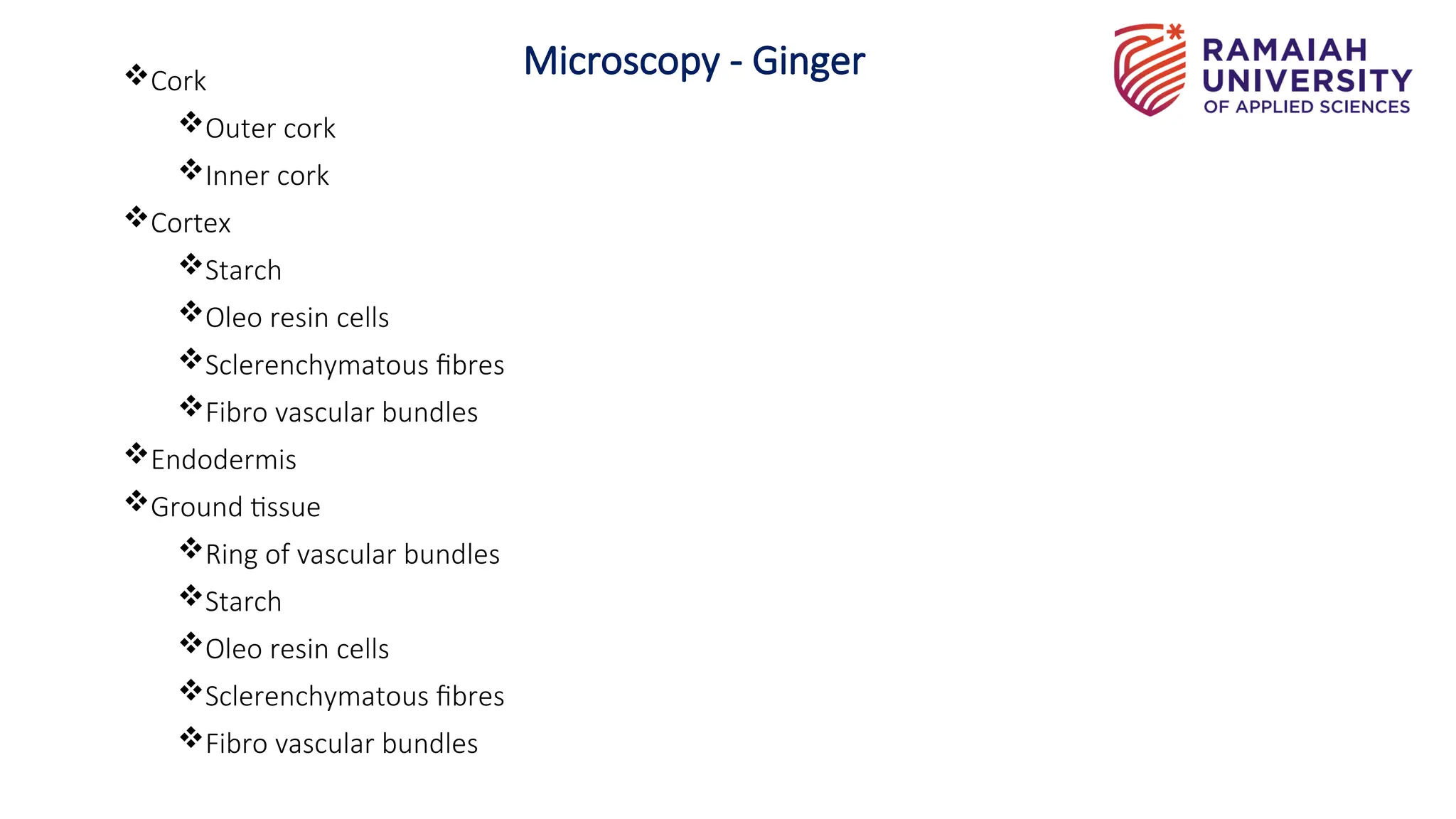 09.Morphology and microscopy of Ginger.ppt