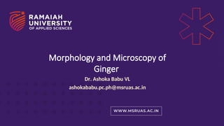 09.Morphology and microscopy of Ginger.ppt