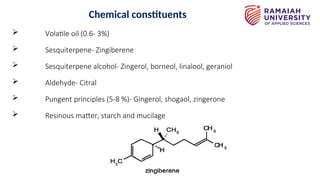 09.Morphology and microscopy of Ginger.ppt