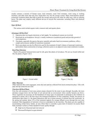 Waste Water Treatment by Using Reed Bed System | PDF