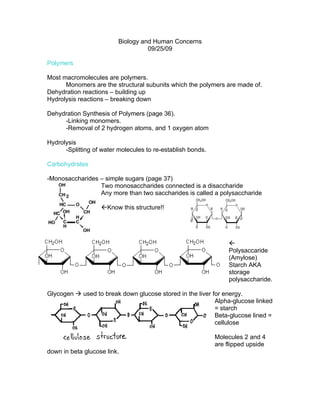 09 25 09 Notes | PDF