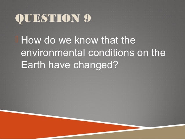 09 25-2013-paleontology review