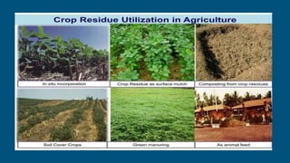 09. crop residue and cover crops management in conservation agriculture ...