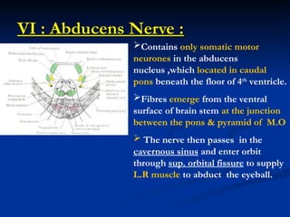 Cranial Nerves and Cranial nerve nuclei.ppt
