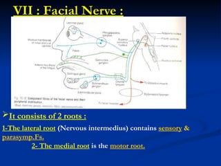 Cranial Nerves and Cranial nerve nuclei.ppt