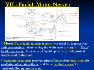 Cranial Nerves and Cranial nerve nuclei.ppt
