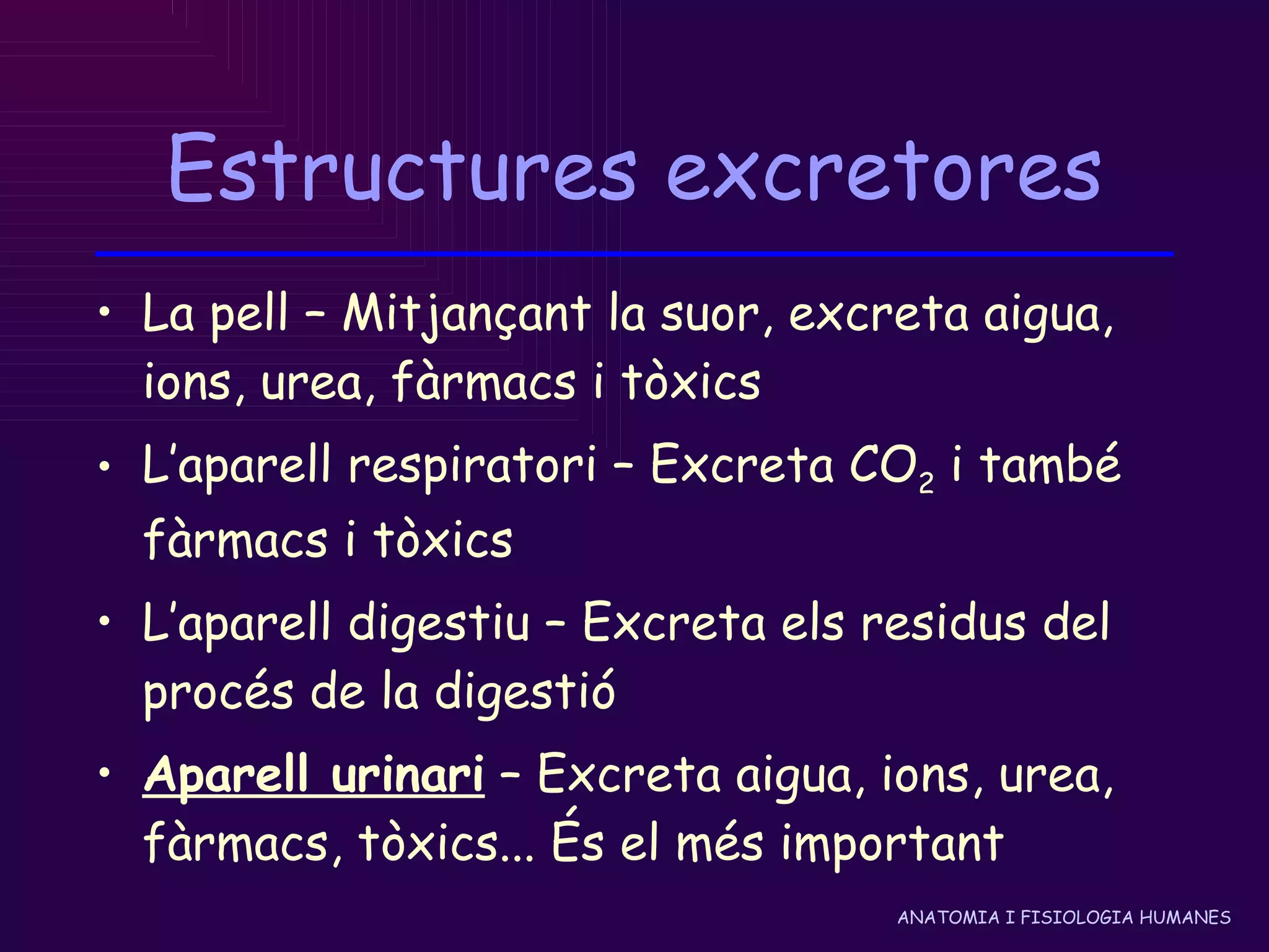 Aparell excretor | PPT