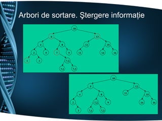 arbori binari | PPT