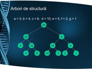arbori binari | PPT