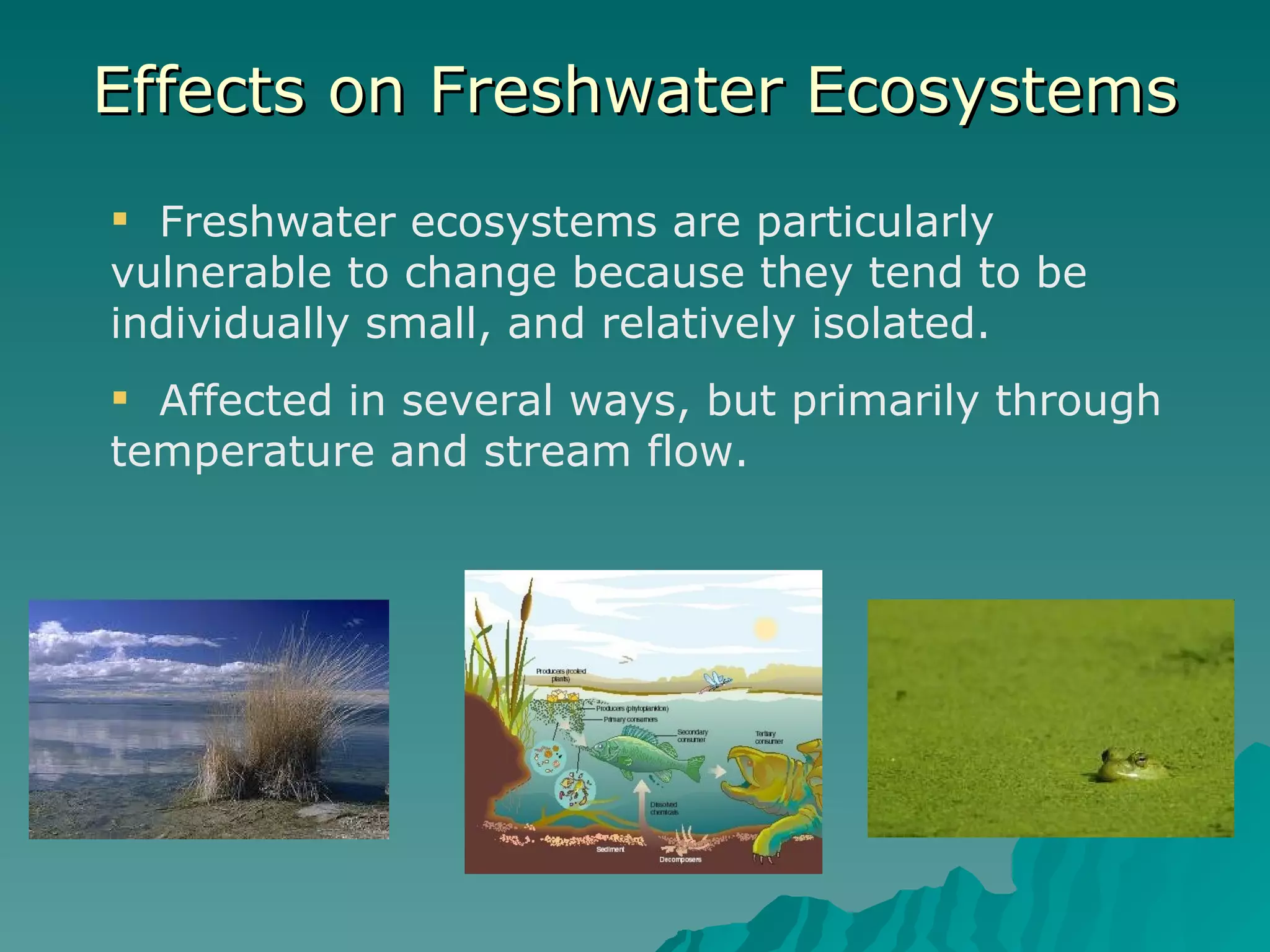 09 effects on freshwater systems-1 | PPT