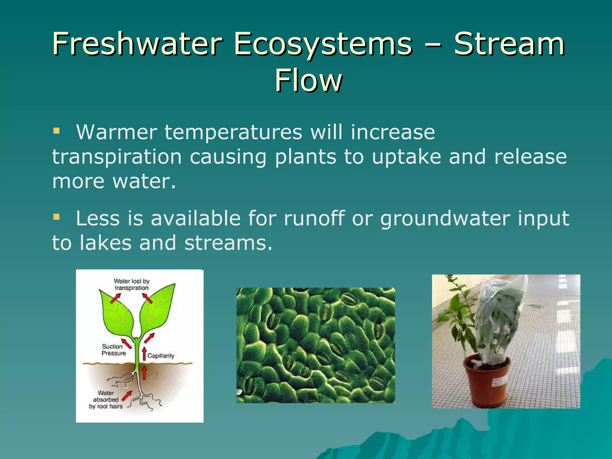 09 effects on freshwater systems-1 | PPT