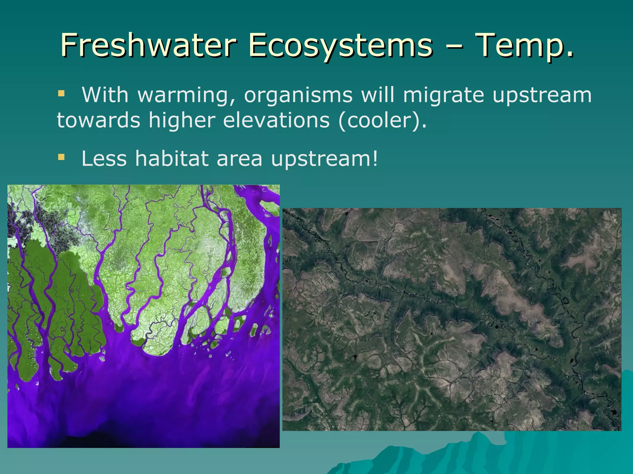 09 effects on freshwater systems-1 | PPT