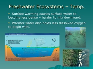 09 effects on freshwater systems-1 | PPT