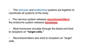 09_-endocrine-مخفف.pptx