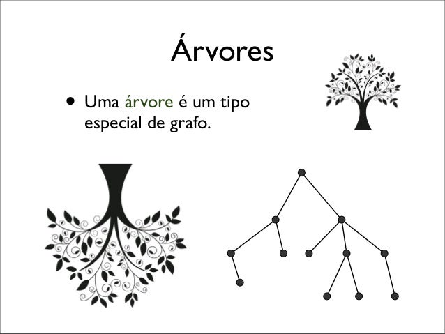 Introdução a Teoria dos Grafos