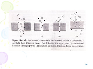 Membrane Separation Processes | PPT