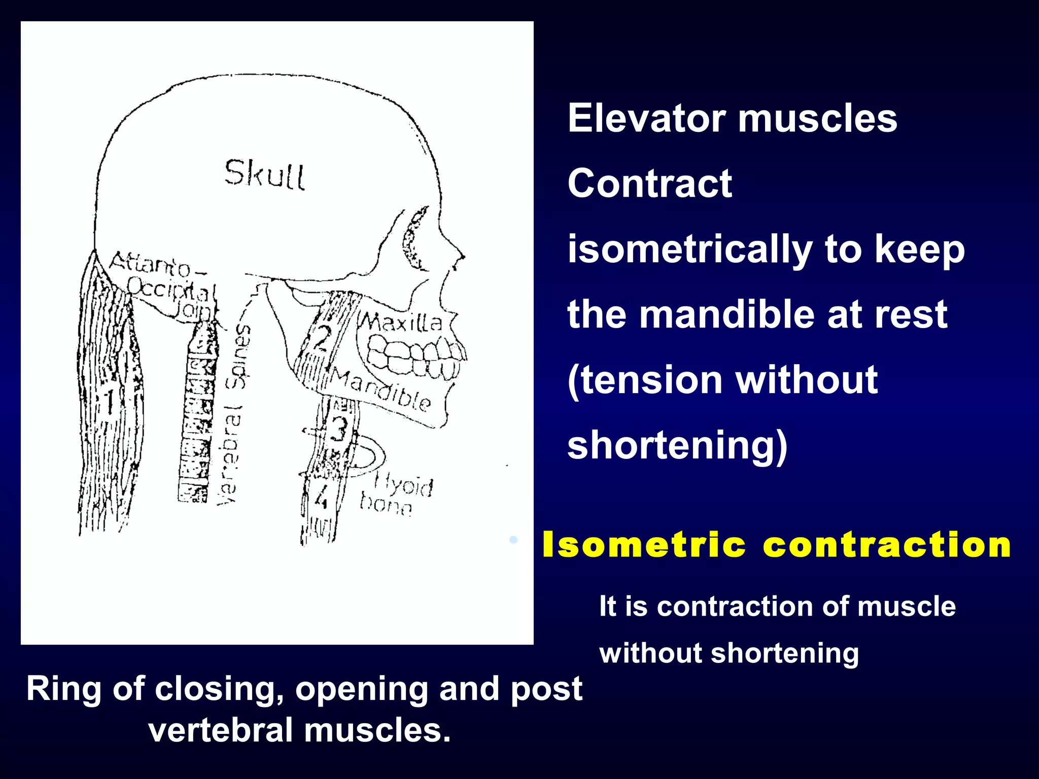 8- Occlusal Relationships for Removable Partial Dentures | PPT