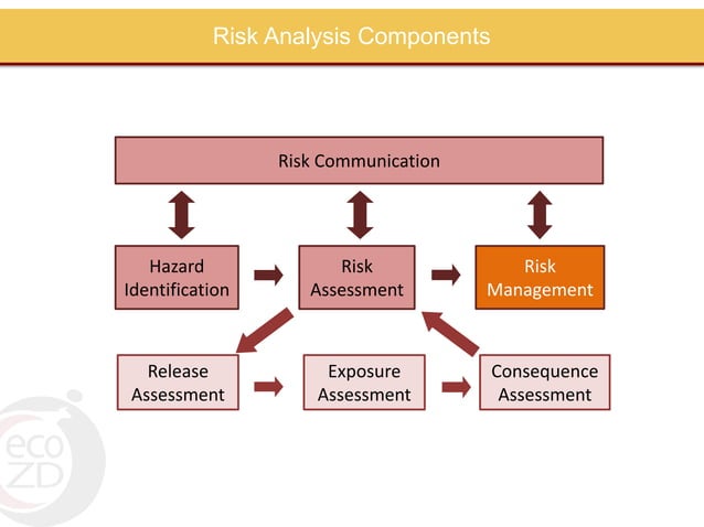 Risk management: Part 1 | PPT