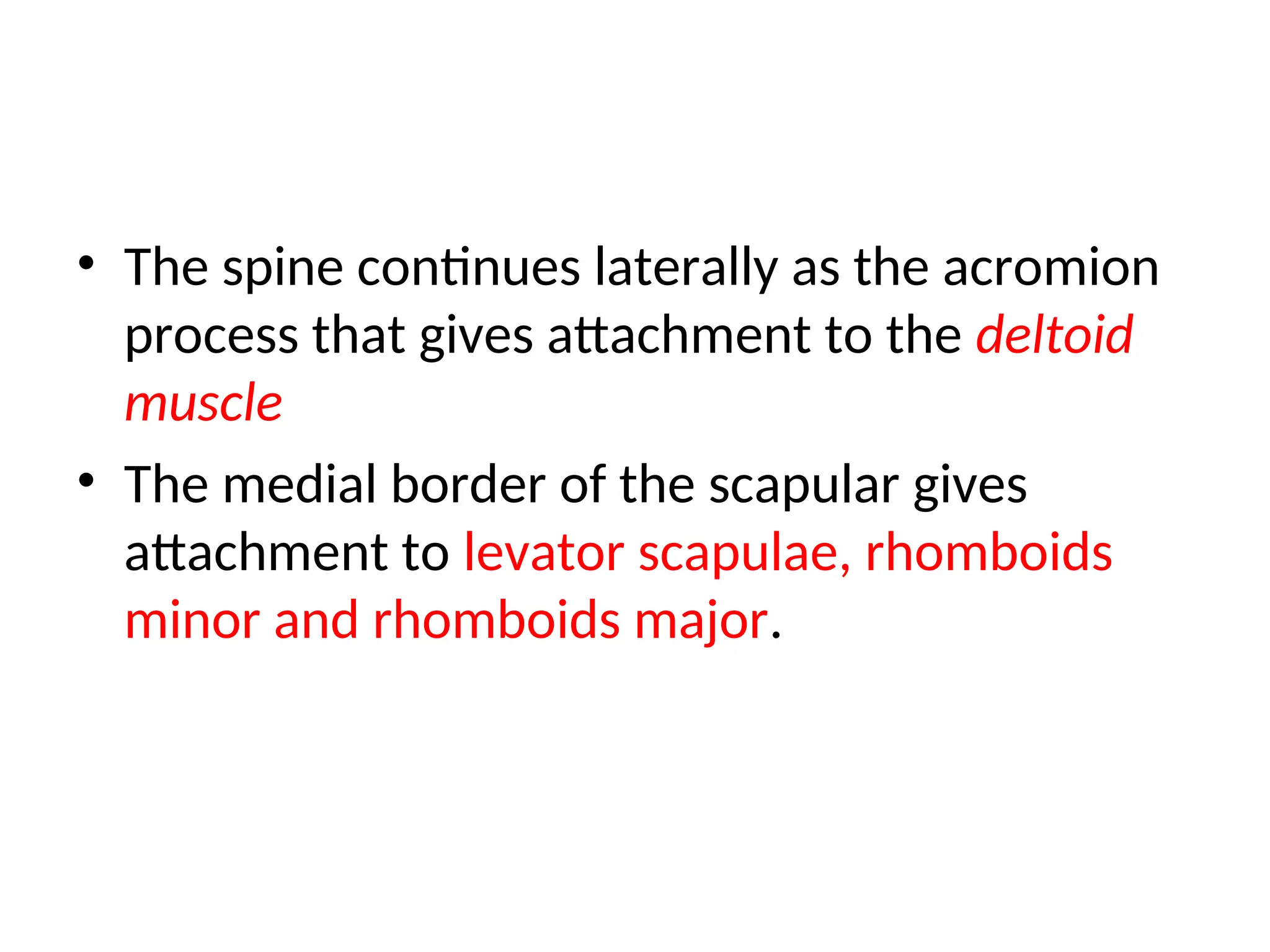 09 - SCAPULAR REGION anatomy. Detailed anatomy | PPT