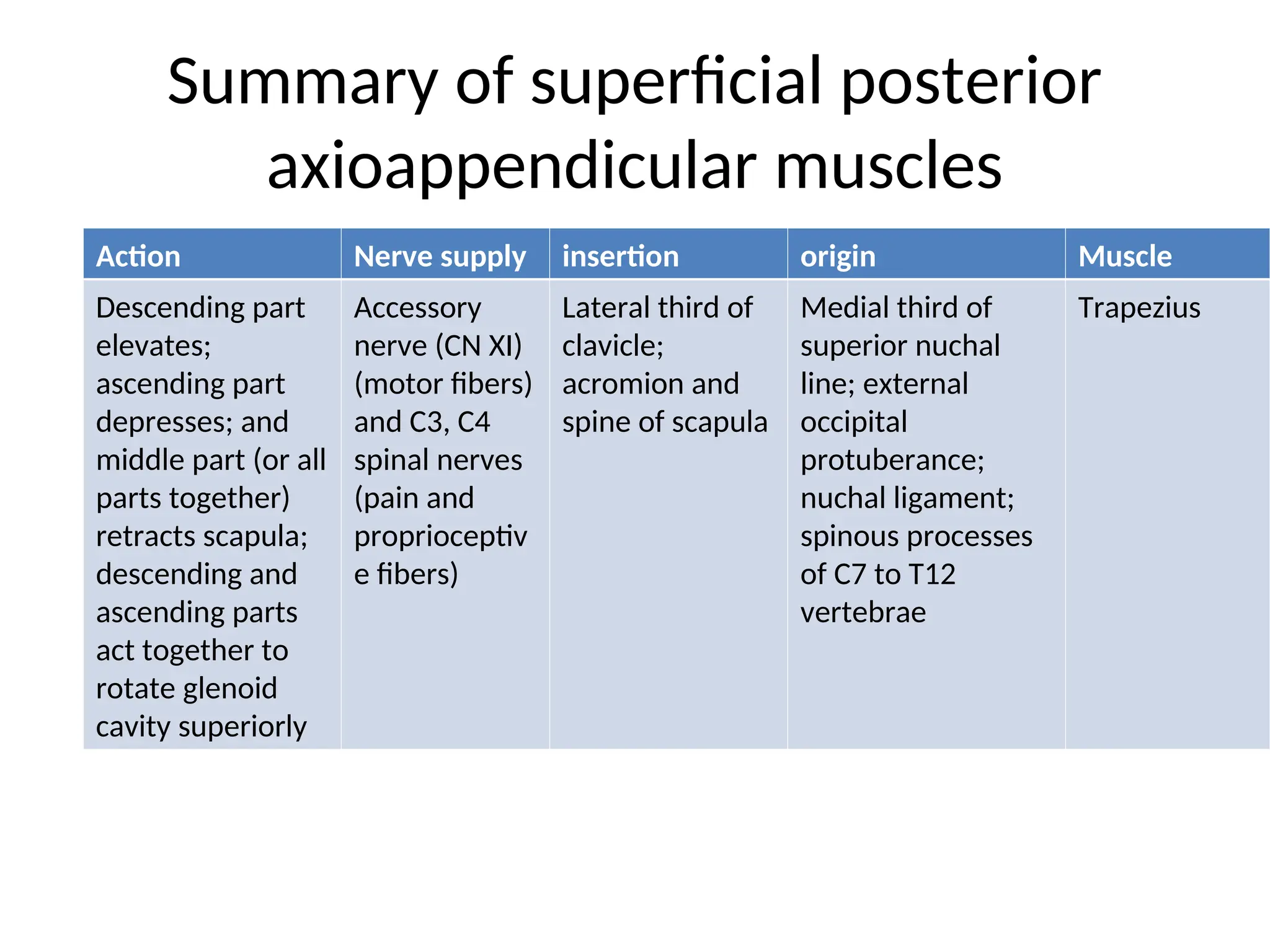 09 - SCAPULAR REGION anatomy. Detailed anatomy | PPT