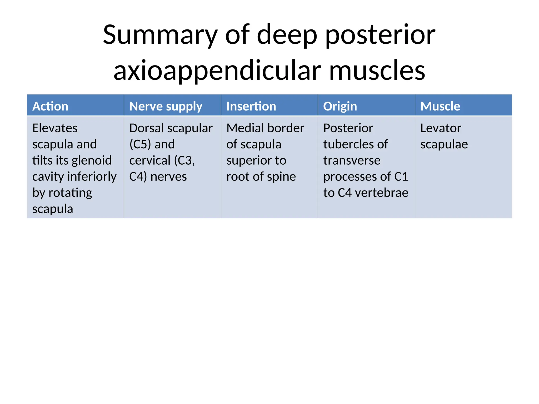 09 - SCAPULAR REGION anatomy. Detailed anatomy | PPT