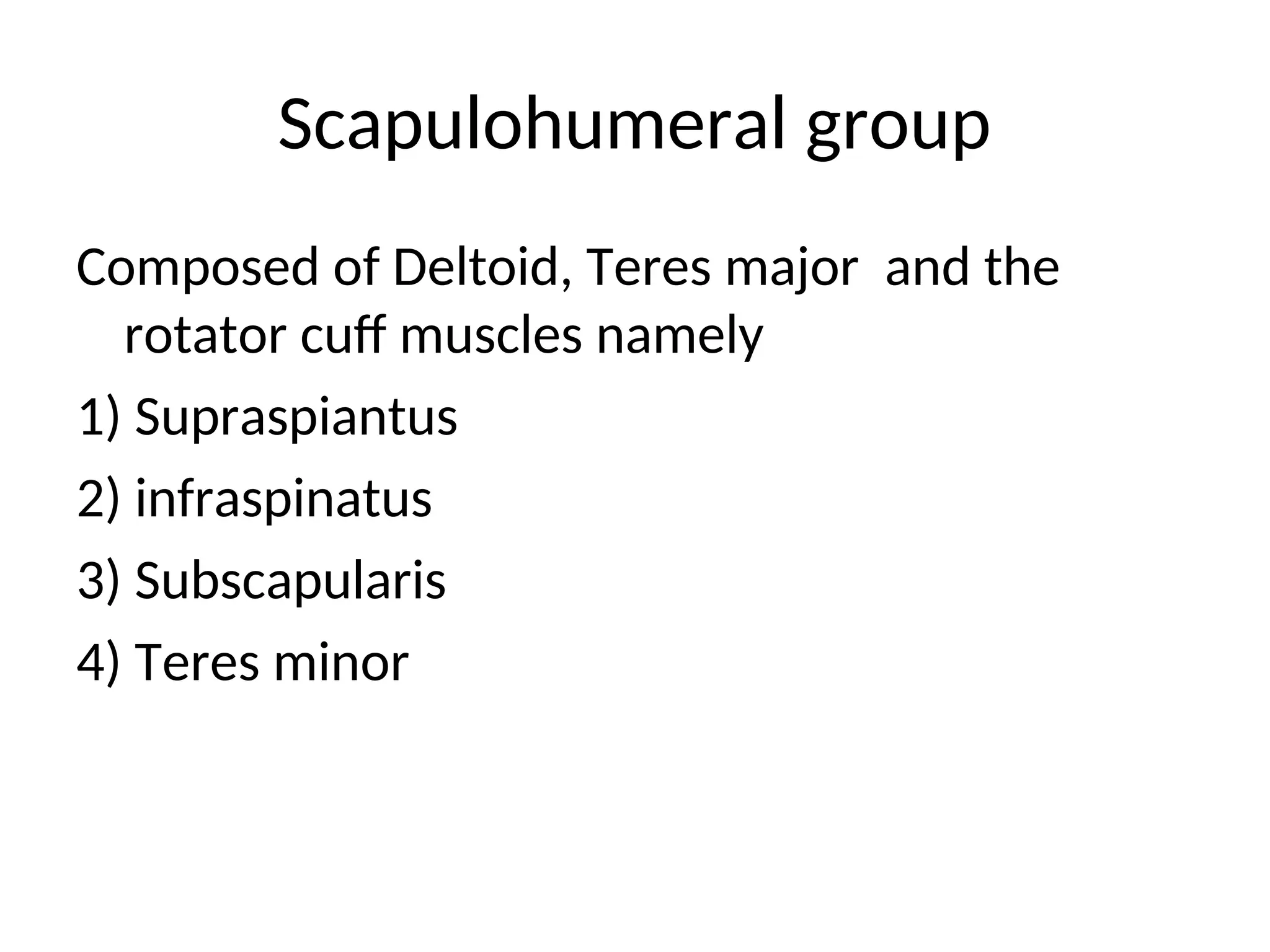 09 - SCAPULAR REGION anatomy. Detailed anatomy | PPT