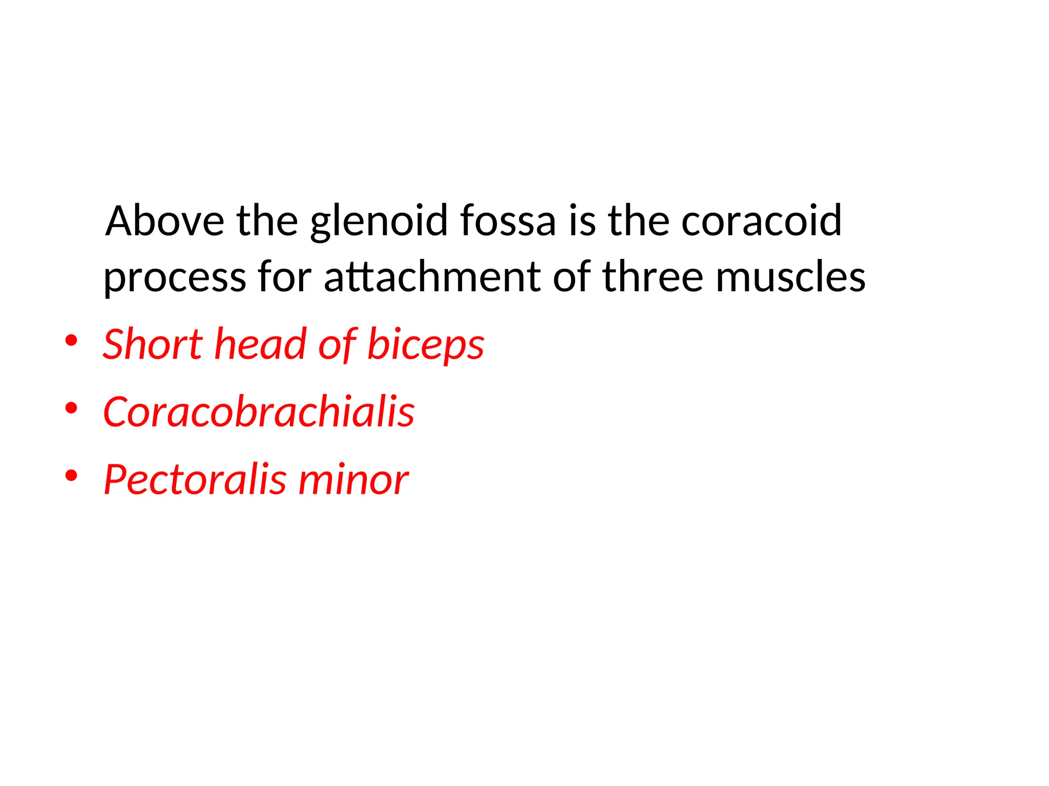 09 - SCAPULAR REGION anatomy. Detailed anatomy | PPT