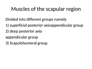 09 - SCAPULAR REGION anatomy. Detailed anatomy | PPT